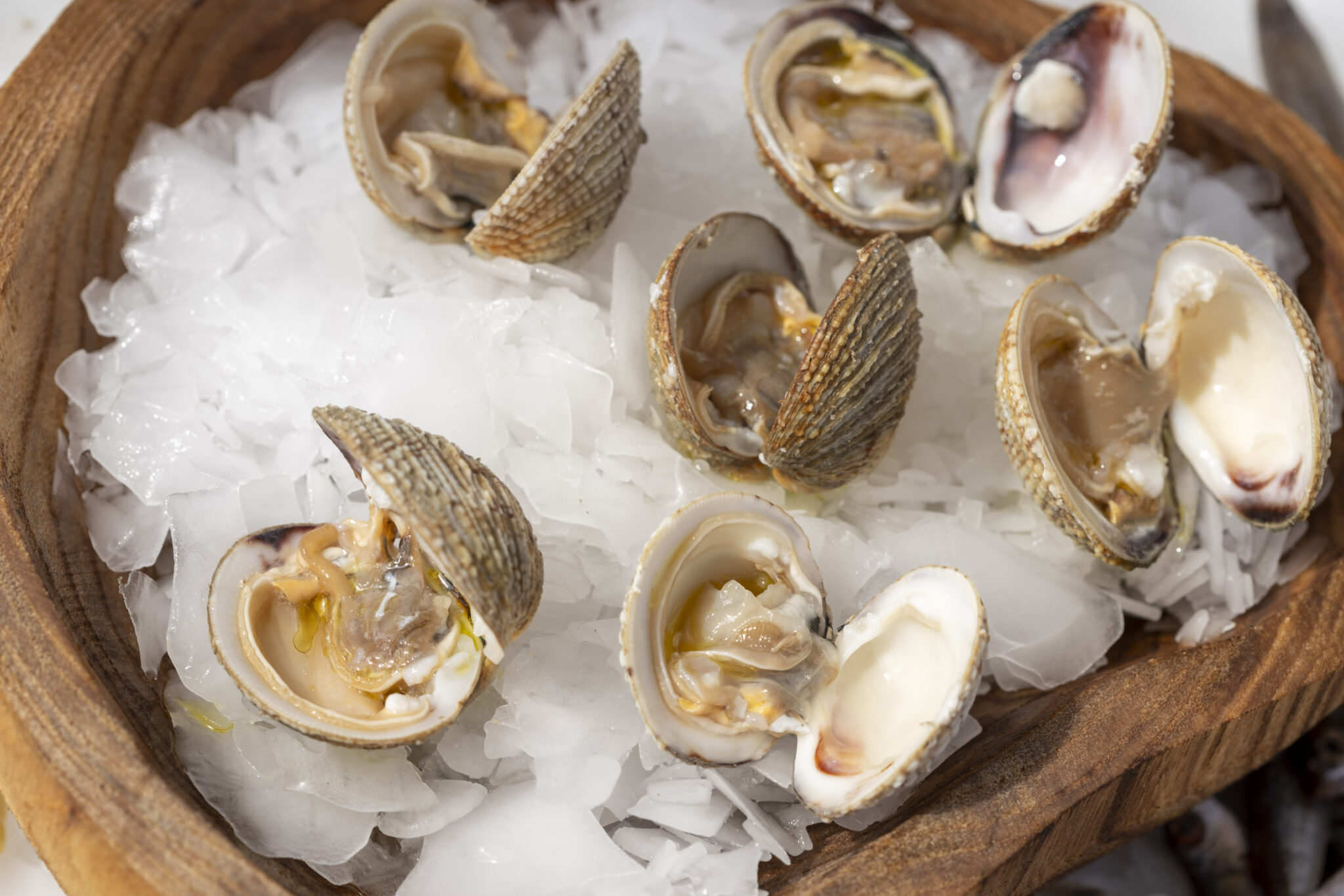 Home - Astakos Modern Fish Tavern. Hook to Fork