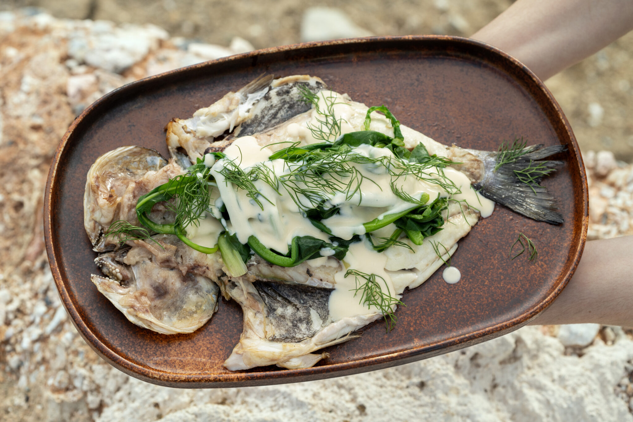 Home - Astakos Modern Fish Tavern. Hook to Fork